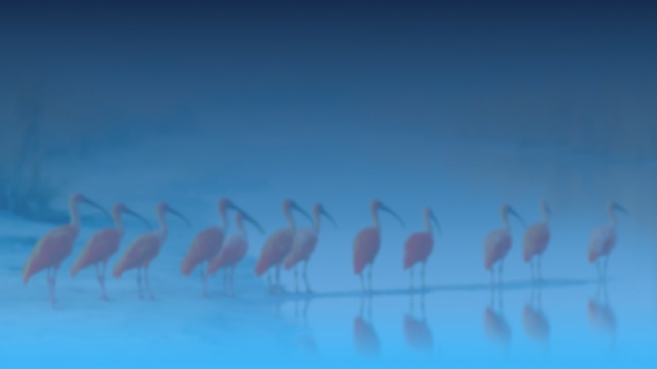 Scai Web3 Brain Of Science